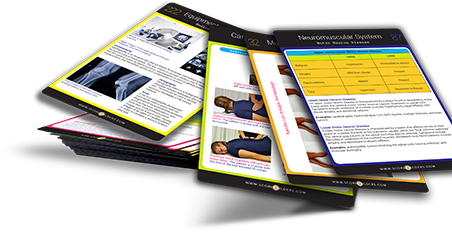 Scorebuilders Insight